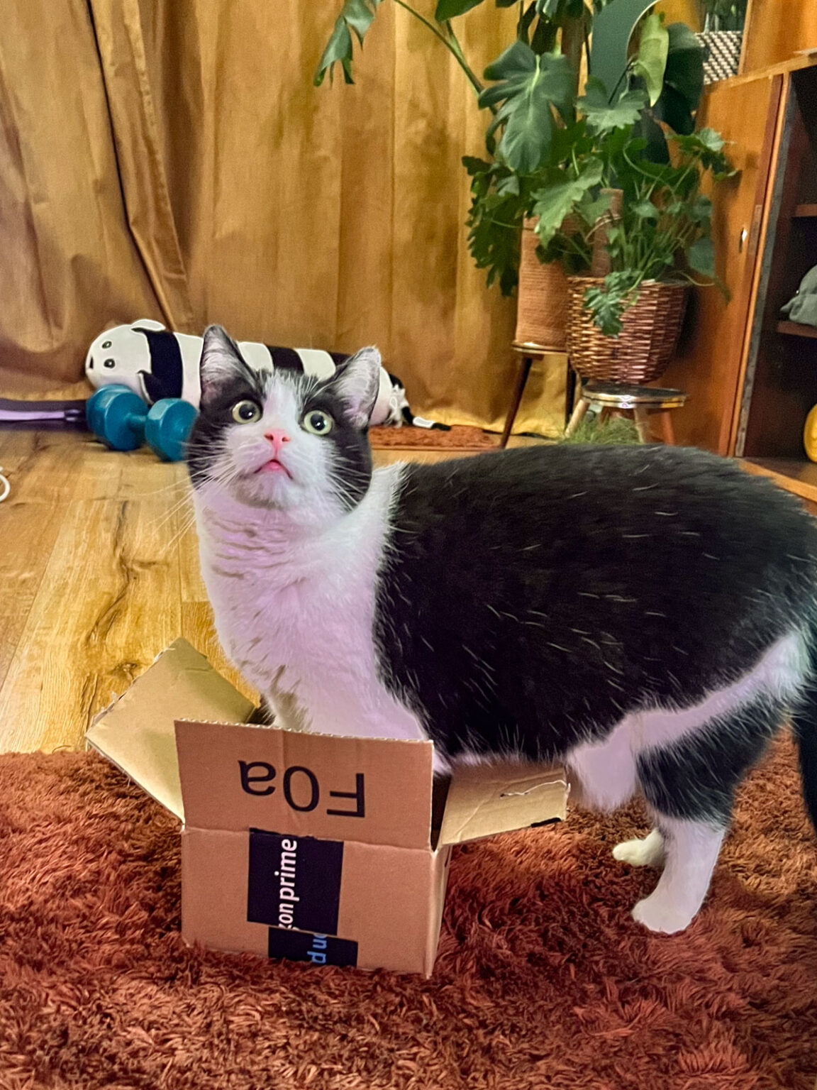 GSW: GLAMOUR SHOPPING WEEK HERBST 2018 | Stylepeacock: Interior, Plants ...